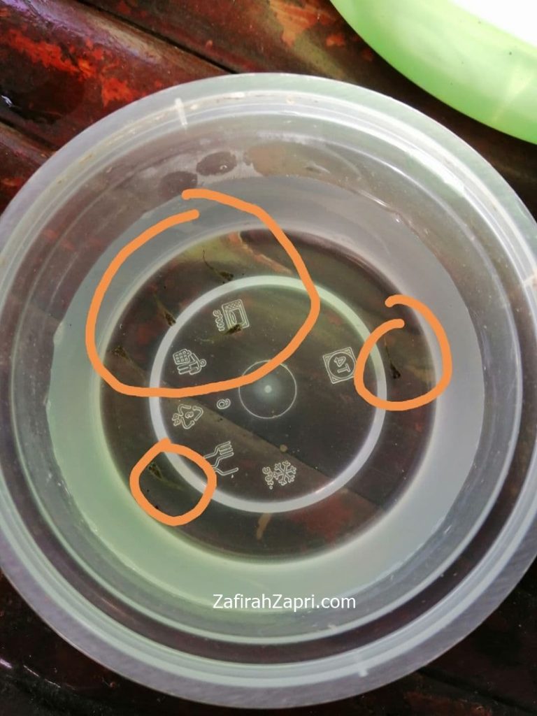 Pengalaman Pasang Akuarium Dan Bela Ikan Guppy - Zafirah Zapri